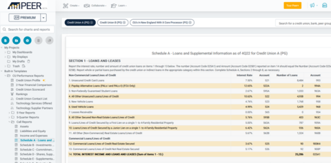 Browse 5300 Call Reports With Ease. - Callahan & Associates